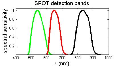 DA Boy: MAT 594 Research Project